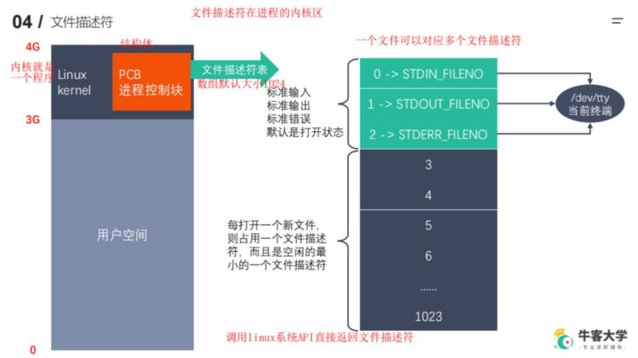 webserver 标准C库函数和内存模型_c webserver 库-CSDN博客