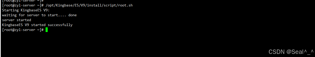 Linux系统命令行安装 KingbaseES V9详细步骤_linux安装kingbase-CSDN博客
