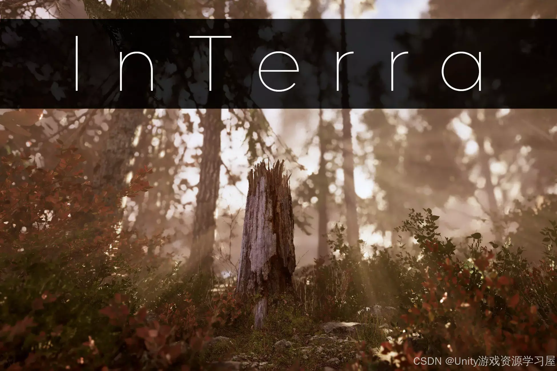 【Unity 地形和物体着色器插件】InTerra Shaders for Terrain and its Objects 旨在提升地形和场景物体的视觉效果，帮助开发者创建更为真实、细致的环境 ...