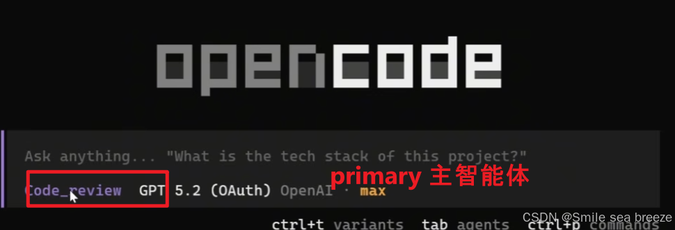 OpenCode详细攻略，开源版Claude Code的内容详细介绍-CSDN博客