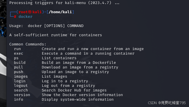 kali无法安装docker问题解决_kali安装docker时出现错误-CSDN博客