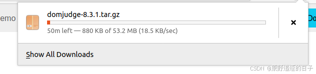 domjudge配置xcpc竞赛！踩坑日记（三种部署方式）-CSDN博客