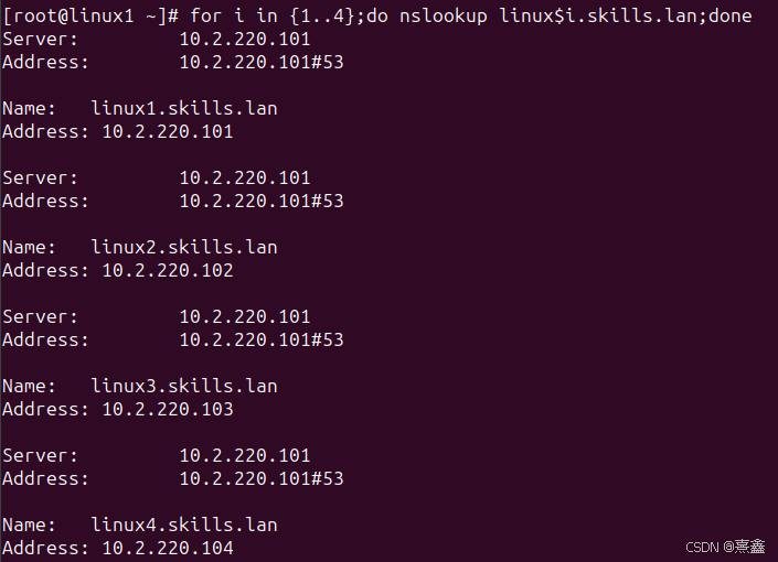 DNS（ bind服务）_bind服务开启-CSDN博客