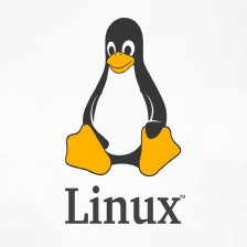 【Linux】Ubuntu上安装.NET 9运行时与ASP.NET Core项目部署入门_aspnetcore-runtime-CSDN博客