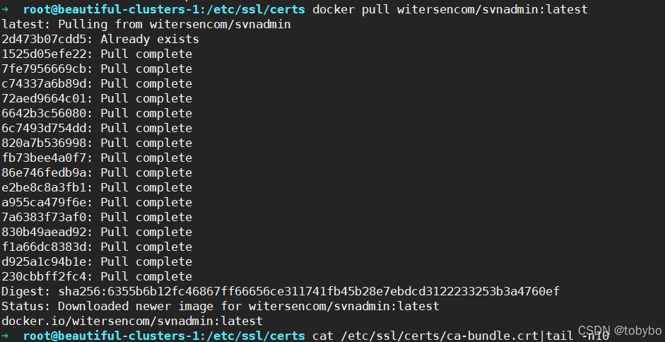 docker pull 报错 download failed after attempts=6: x509: certificate signed by unknown authority ...