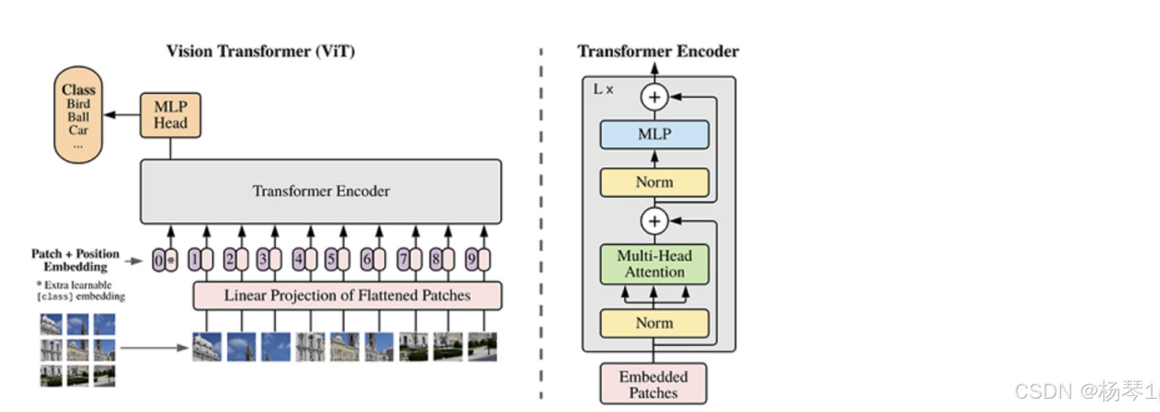 昇思25天学习打卡营第13天|MindSpore使用Vision Transformer（ViT）学习（基于ViT实现ImageNet分类任务 ...