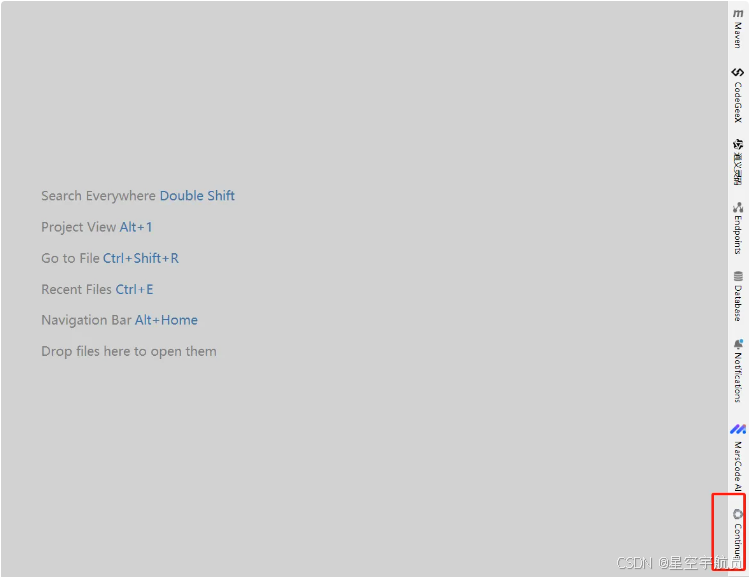 DeepSeek让Idea起飞_idea continue插件-CSDN博客