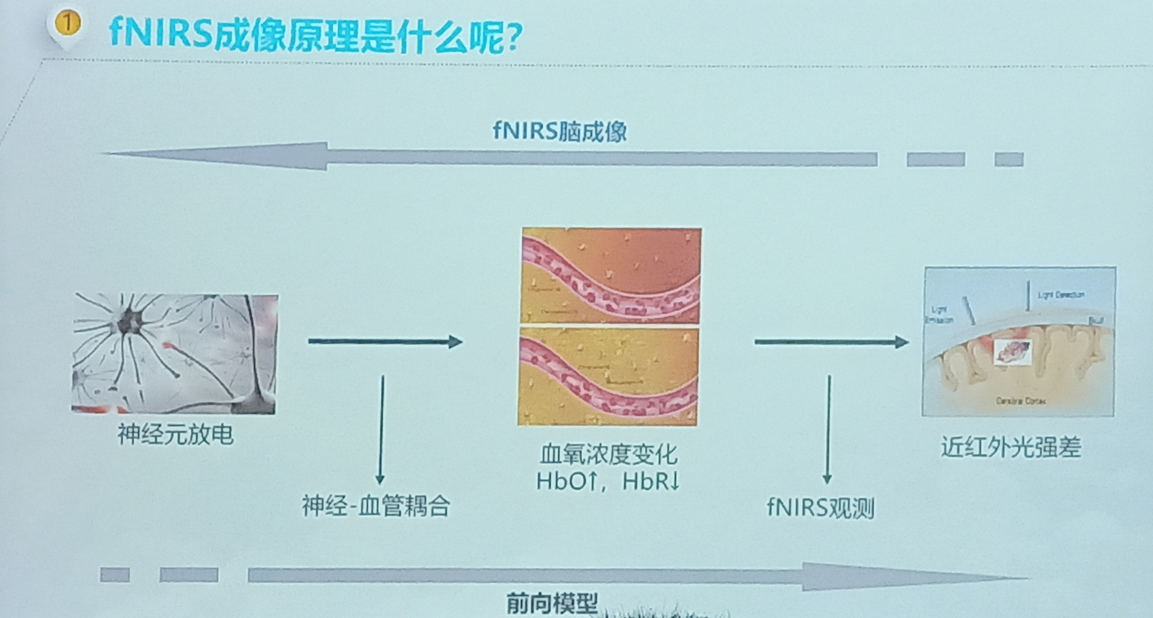 近红外成像 fNIRS 原理与操作-CSDN博客