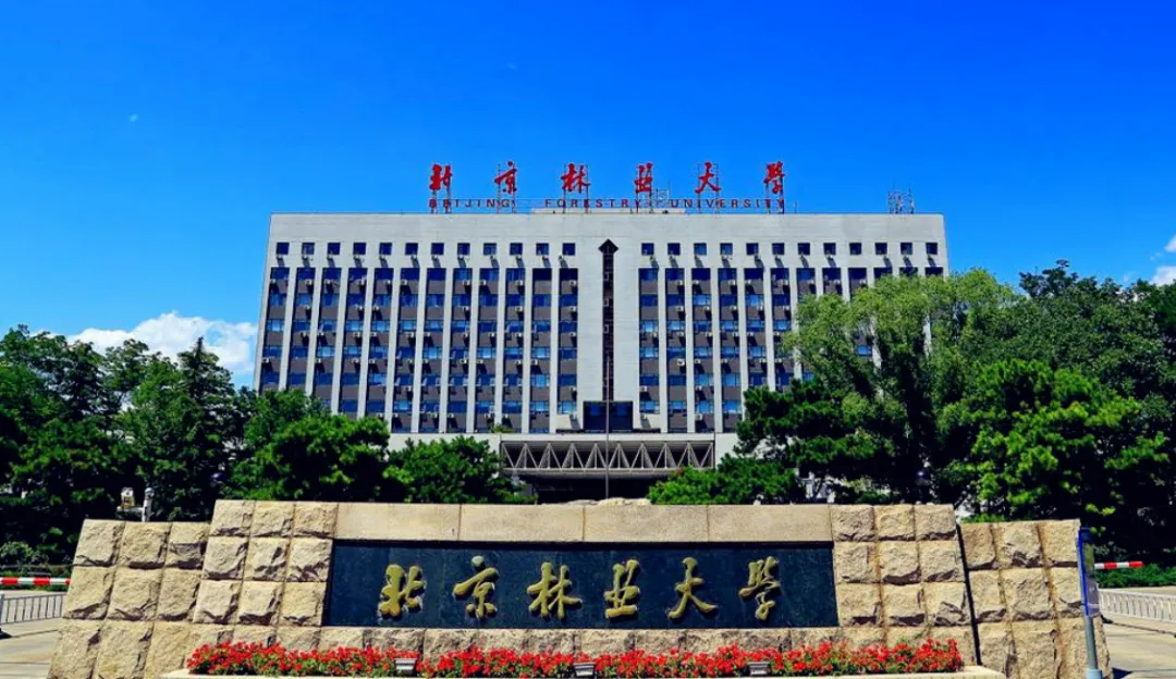 捡漏京区211，复试国家线！26届北京林业大学自动化考研择校分析-CSDN博客