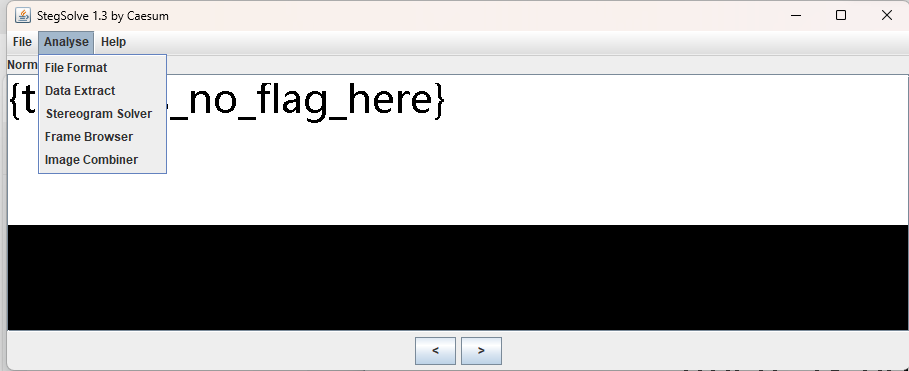 ctfshow-misc入门题目解析2（misc24-56）-CSDN博客