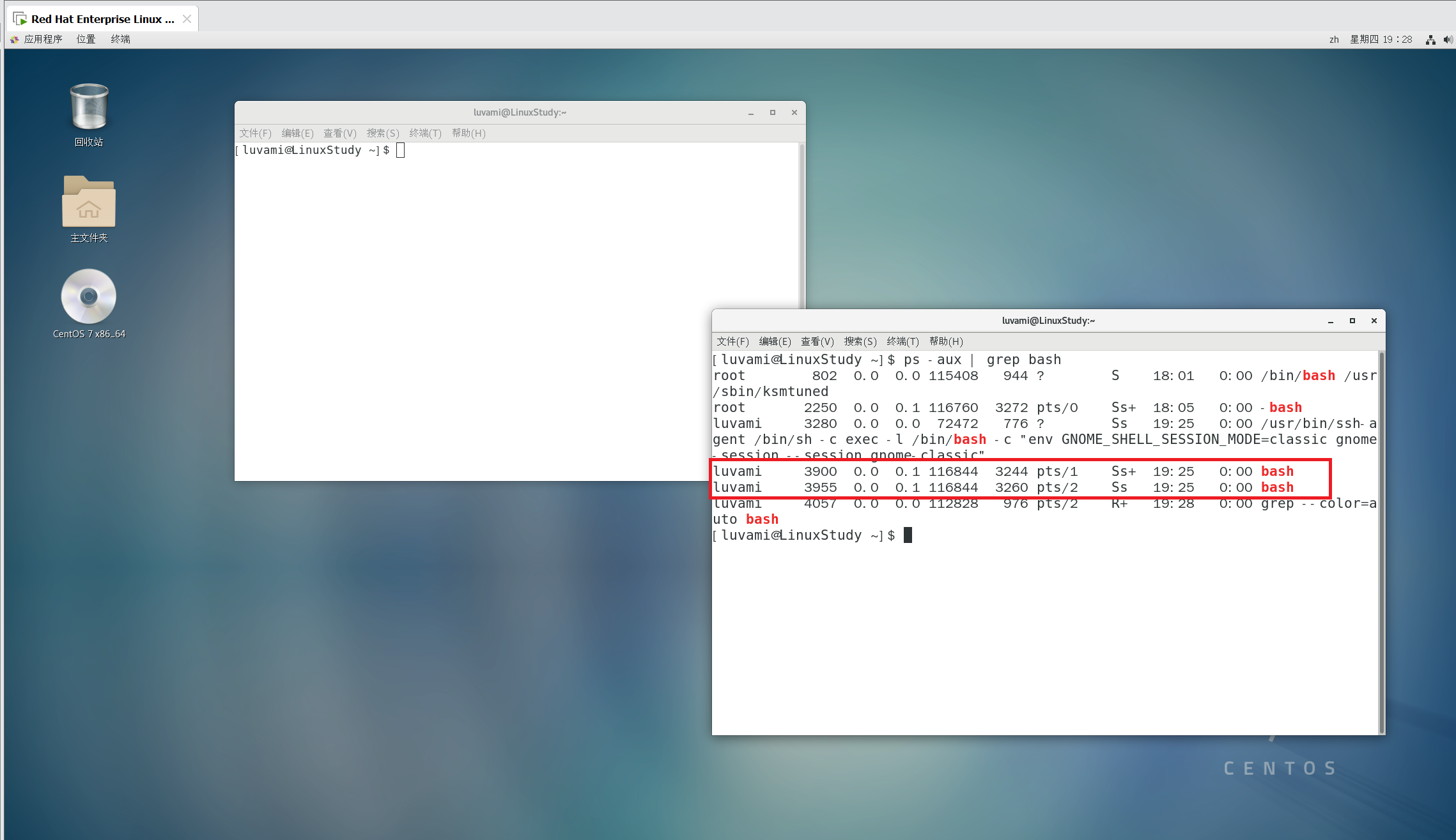 Linux学习篇10——linux 进程管理深度解析：进程基础、常用指令、服务管理与系统监控 Csdn博客