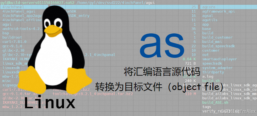 【Linux】as命令：GNU汇编器（GNU Assembler），用于将汇编语言源代码转换为目标文件（object file）-CSDN博客