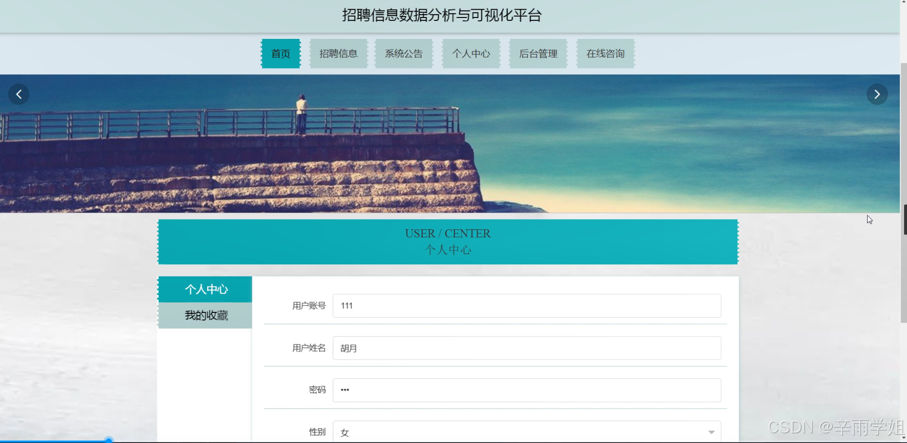 Java计算机毕业设计招聘信息数据分析与可视化平台（开题程序论文）招聘数据分析可视化毕业设计java Csdn博客