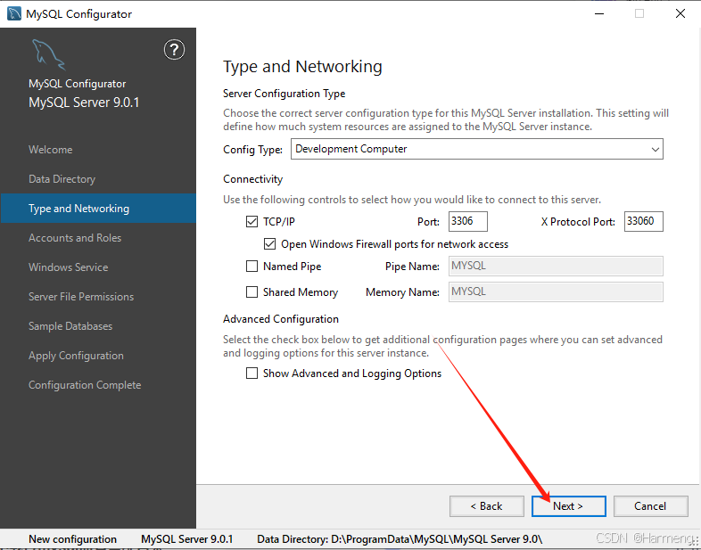 MySQL在Windows中安装与配置（9.0版详细教程）_mysql9.0安装教程详细步骤-CSDN博客