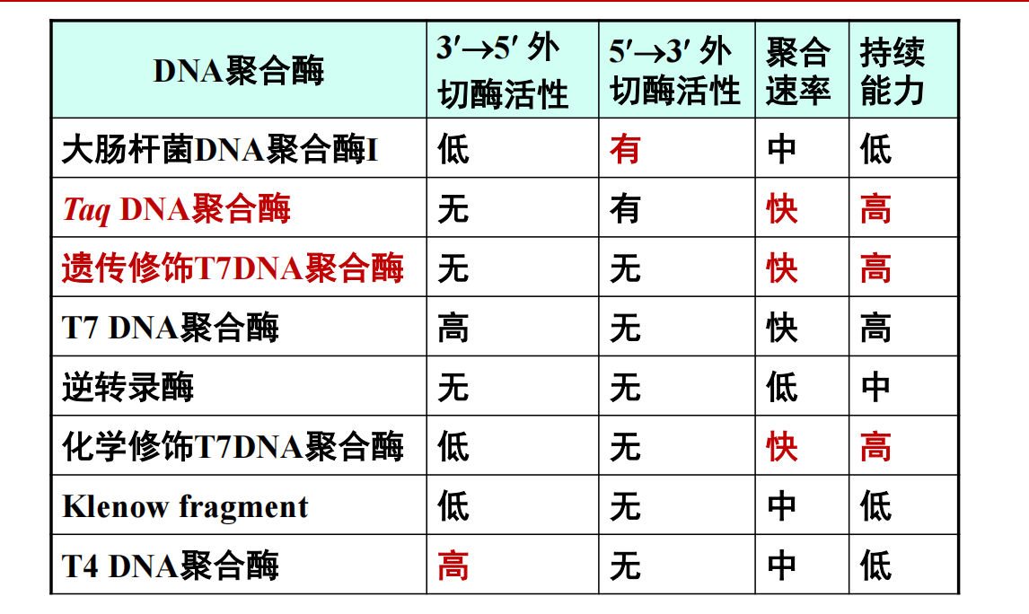 其他常用工具酶和思考_dna polymerase i, large (klenow) fragment 和t4 dna -CSDN博客
