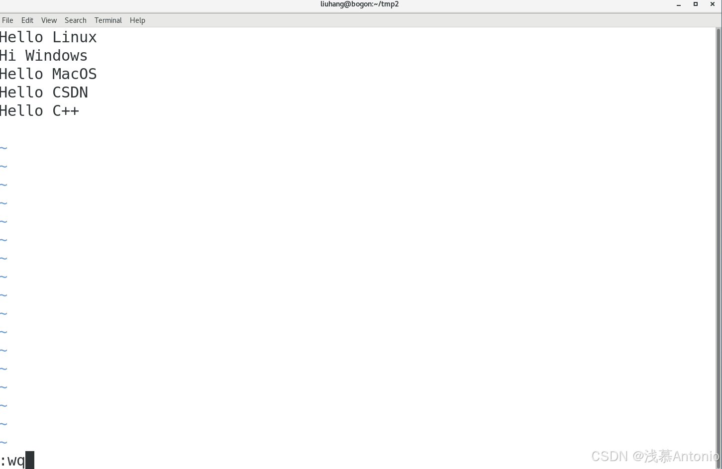 【Linux】vi/vim编辑器简单介绍_vim命令的全称-CSDN博客