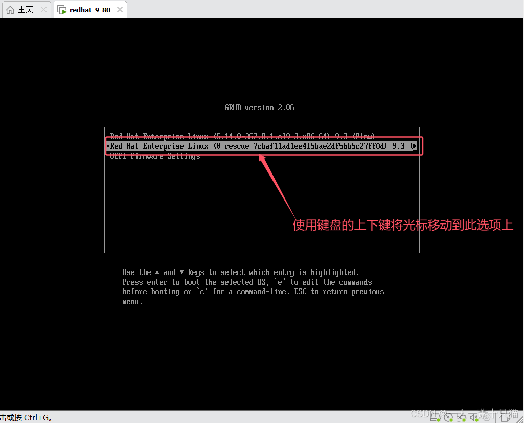 Linux重置 Red Hat 虚拟机的 root 密码图文详解_redhat 修改root密码-CSDN博客