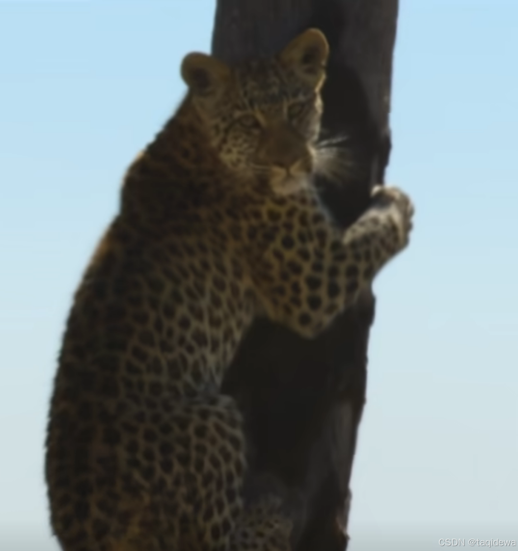 如何配置开发环境、快速搭建SpringBoot项目、在SpringBoot中整合持久层框架（Mabatis、Mabatis-Plus、JPA等）、进行数据缓存管理。-CSDN博客