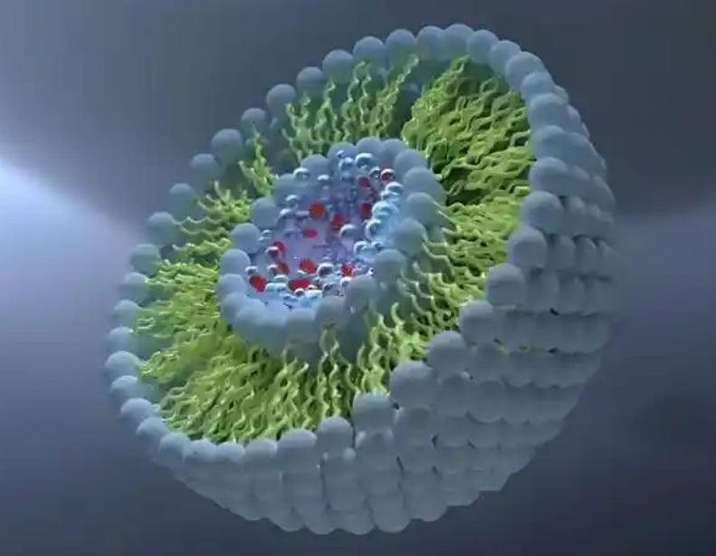 DSPE-PEG2000-mal构建靶向功能化脂质DSPE-PEG-GSH的过程揭秘！_dspe-peoz2k-mal 短肽 反应-CSDN博客