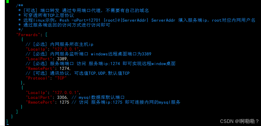 在Linux系统下实现的内网穿透(FastTunnel)_linux内网穿透-CSDN博客