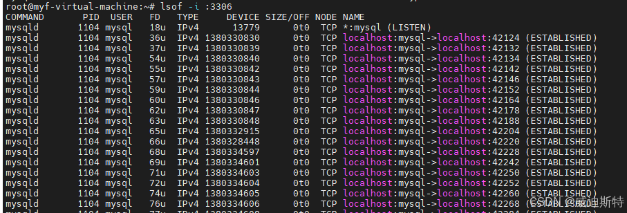 lsof：强大的Linux系统监视工具_lsof用的多吗-CSDN博客