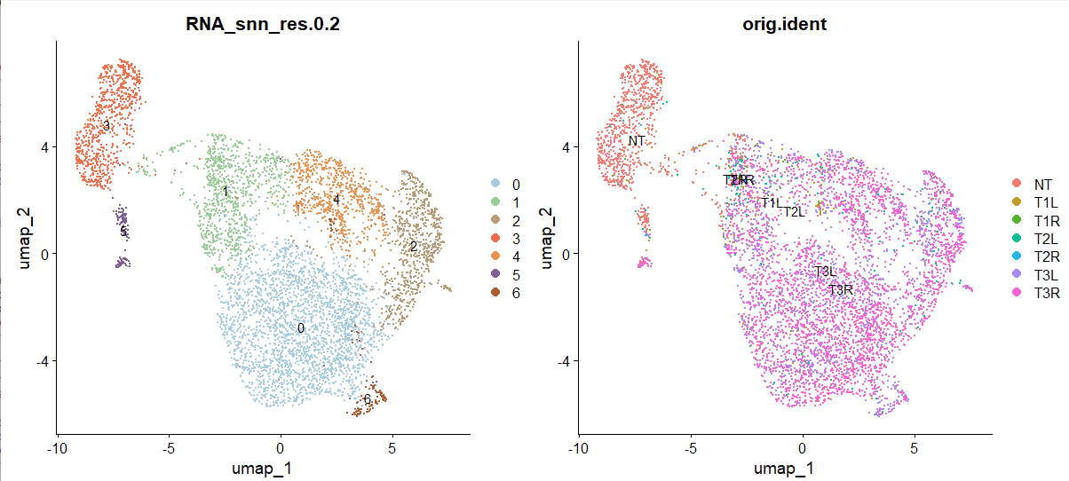 单细胞转录组分析流程八（inferCNV，inferCNV score）-CSDN博客