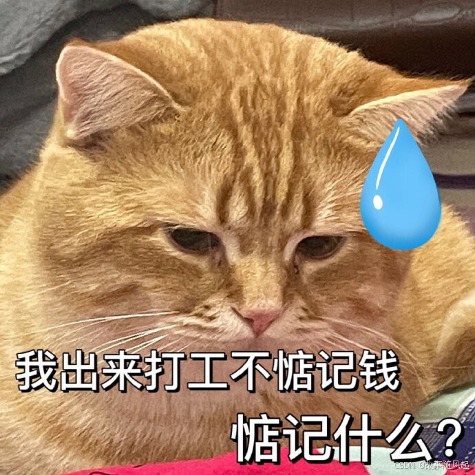 Vue实例的奇妙应用之旅_vue controller 例子-CSDN博客