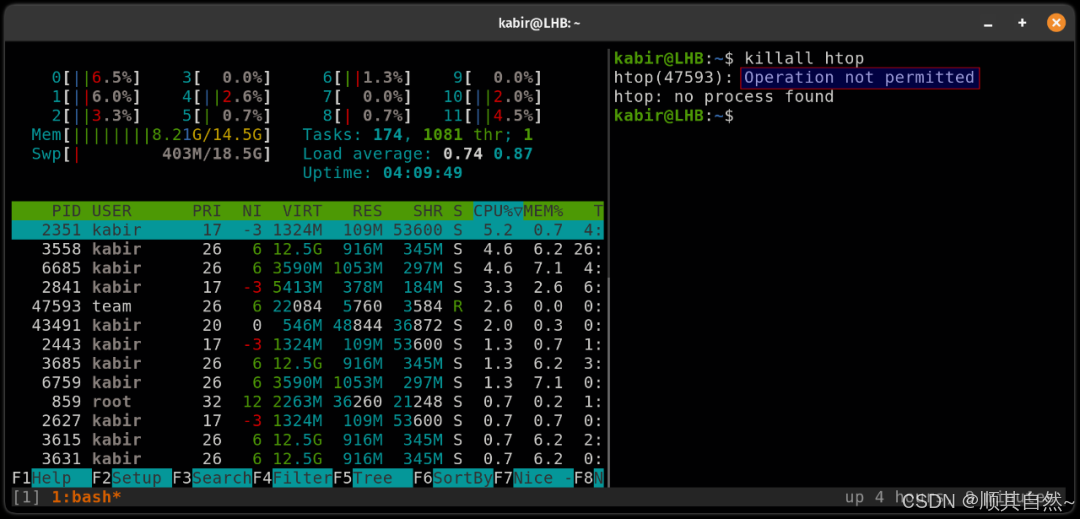 linux命令-kill、pkill 和 killall_kill命令-CSDN博客