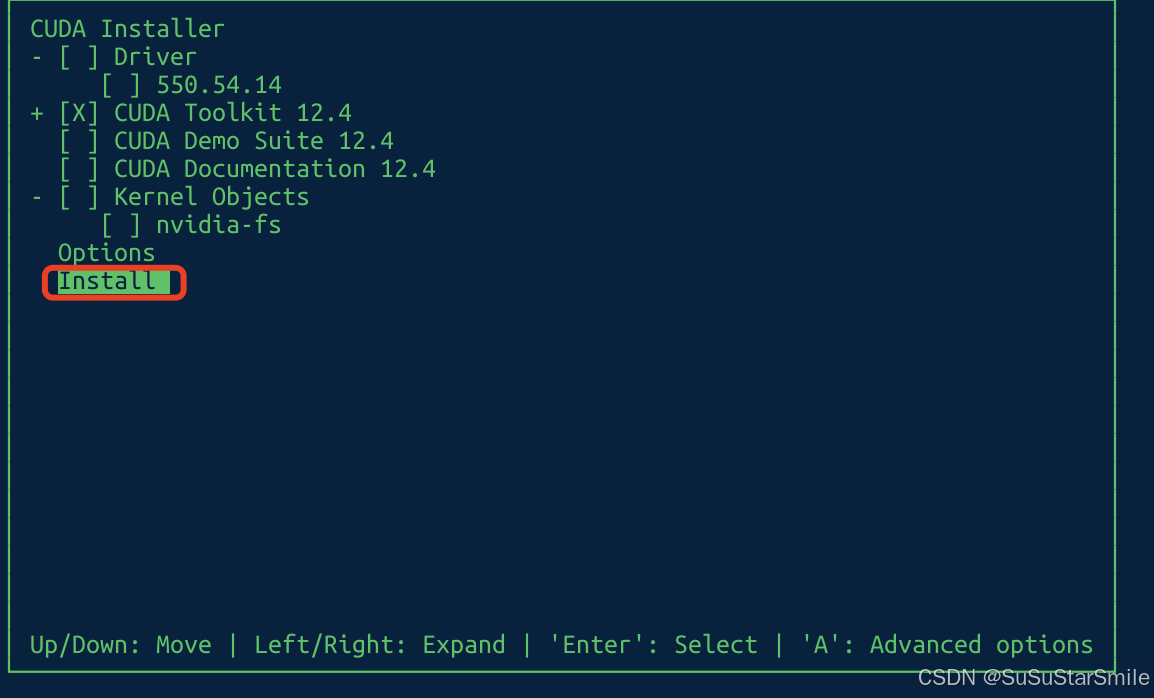 （二）Linux系统安装显卡驱动+cuda+cudnn+torch+torchvision（GPU-Pytorch）_linux安装显卡驱动-CSDN博客