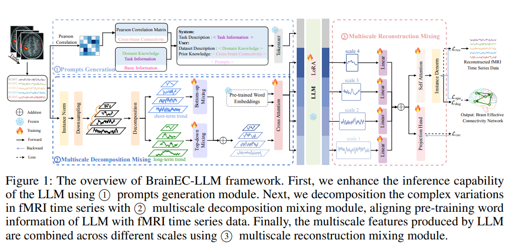 2025_NIPS_BrainEC-LLM: Brain Effective Connectivity Estimation via Multiscale Mixing LLM-CSDN博客