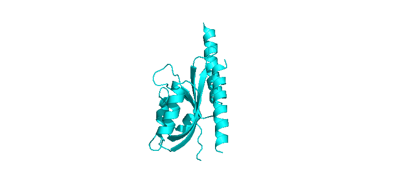 Pymol生成GIF图教程（蛋白旋转展示）_pymol 导出动画-CSDN博客