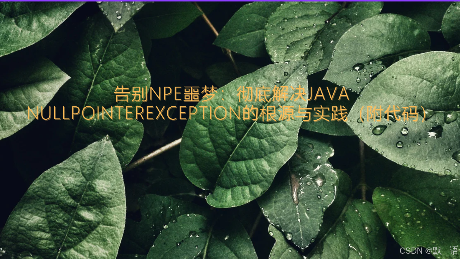 告别NPE噩梦：彻底解决Java NullPointerException的根源与实践（附代码）_jvm优化nullpointexception的源码-CSDN博客