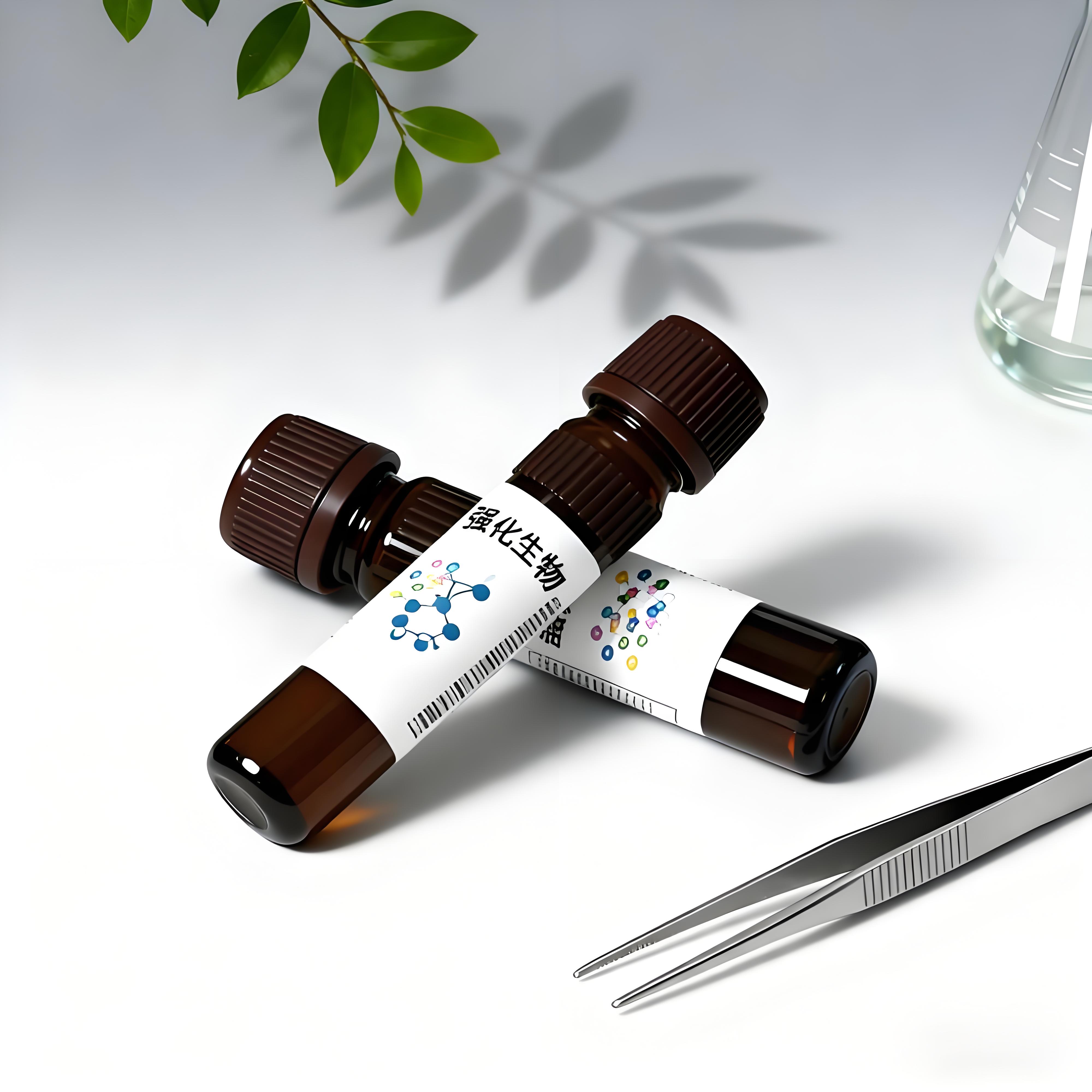 Acridinium Azide，吖啶叠氮化物：让细胞结构清晰可见-CSDN博客