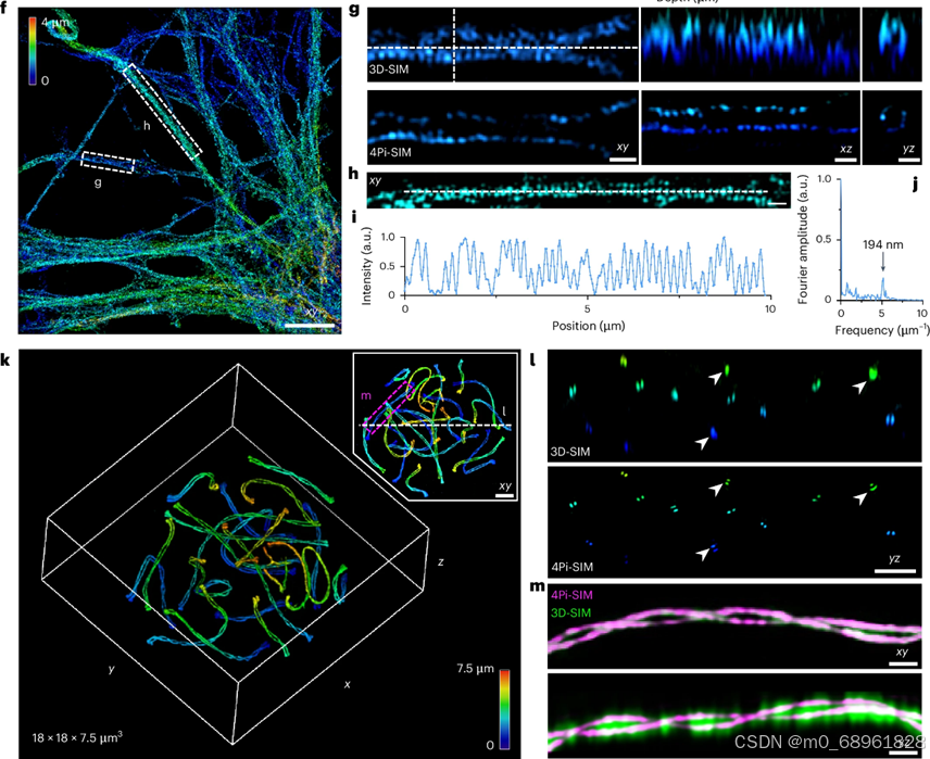 细胞成像的超级“放大镜”——4Pi-SIM_3d-sim ppt-CSDN博客