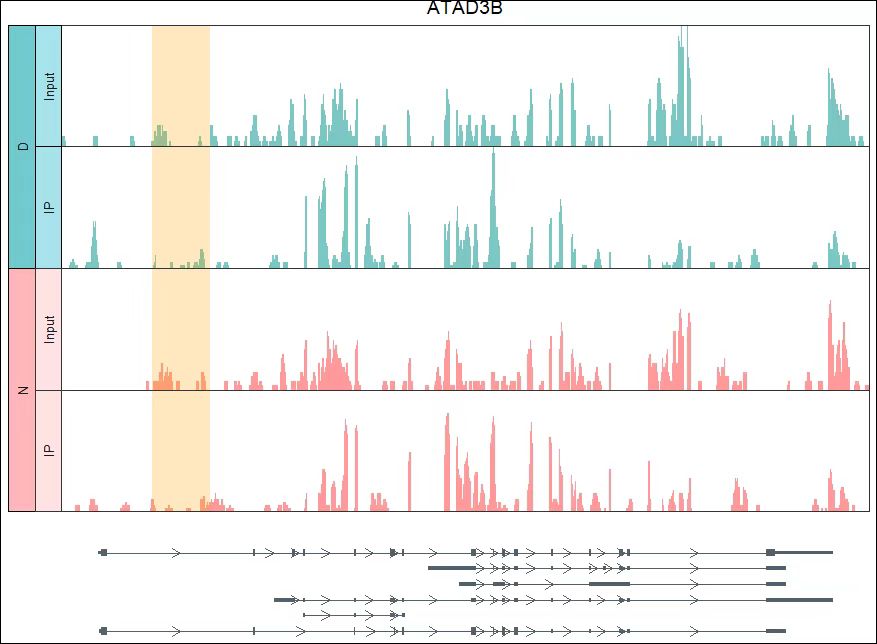 IGV软件系列--peak可视化 -CSDN博客