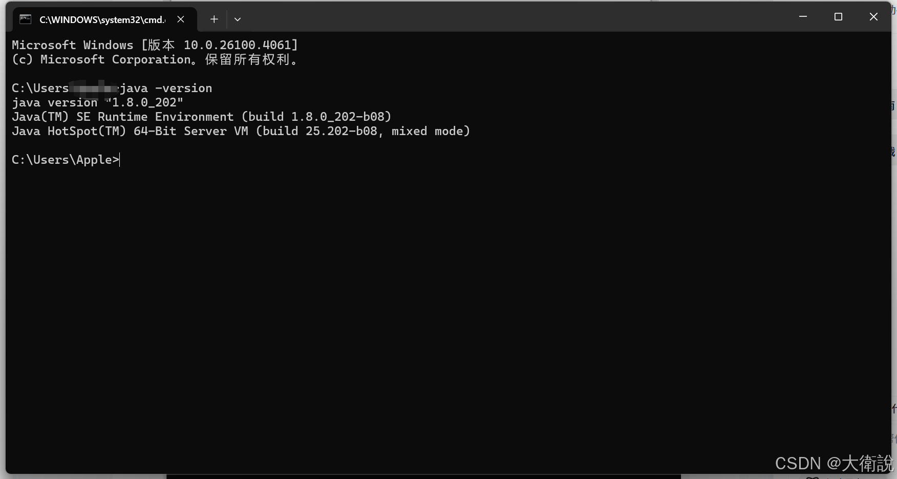 下载、安装JDK1.8并配置环境_oracle jdk 1.8-CSDN博客