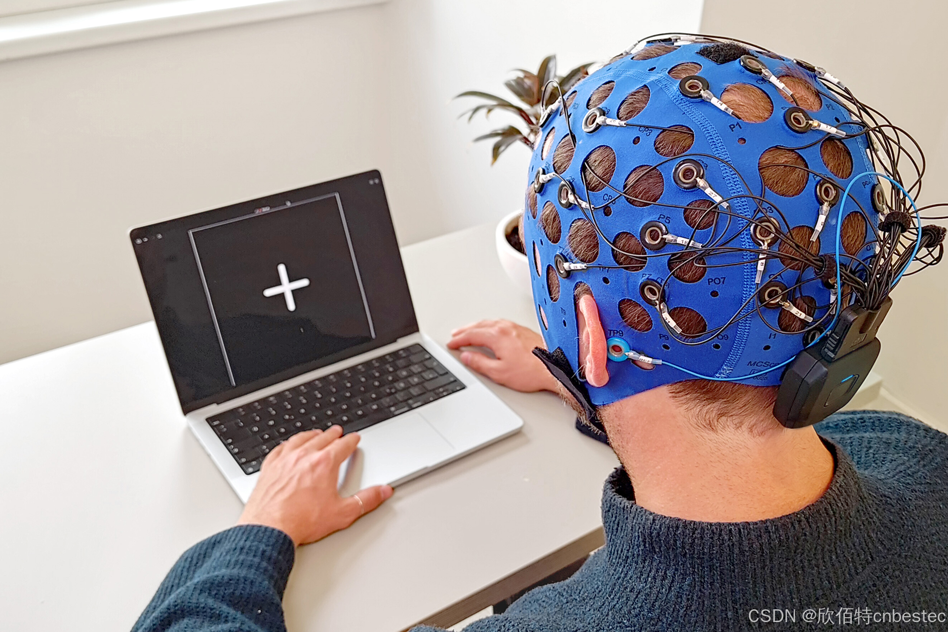 打破有线束缚：Mentalab Hypersync 如何重新定义生理研究的「时间精度」-CSDN博客