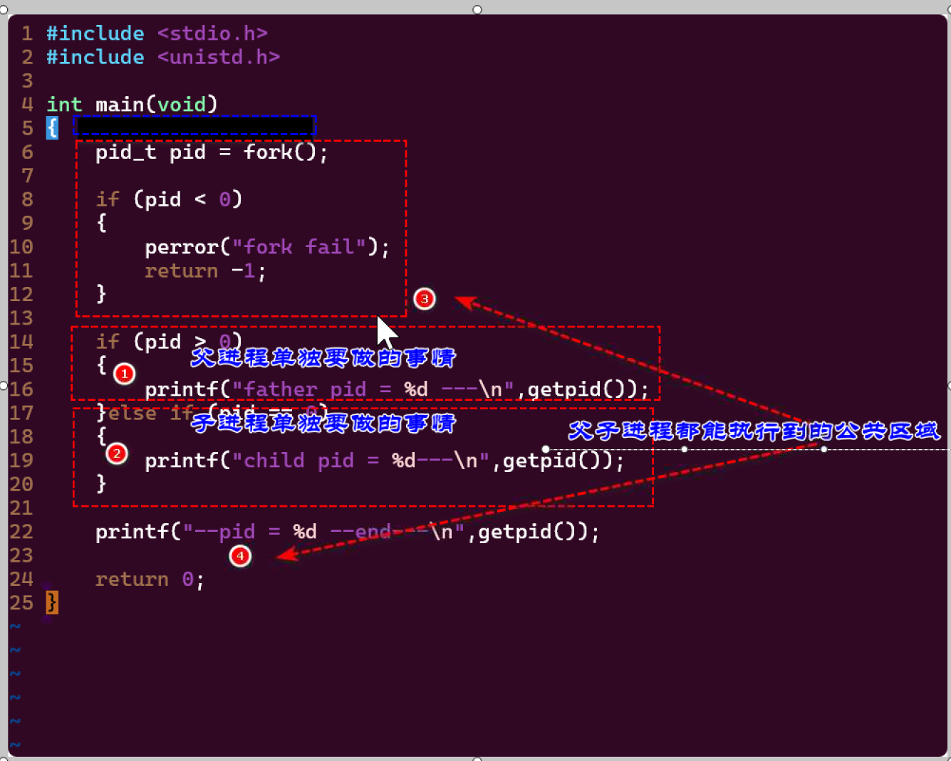 day27：零基础学嵌入式之进程-CSDN博客