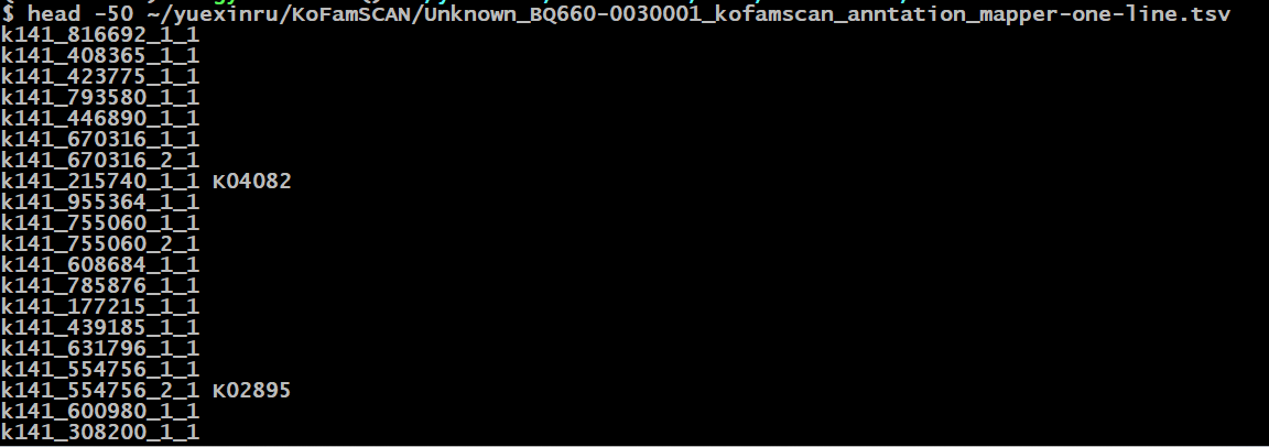 Kofamscan功能注释-CSDN博客