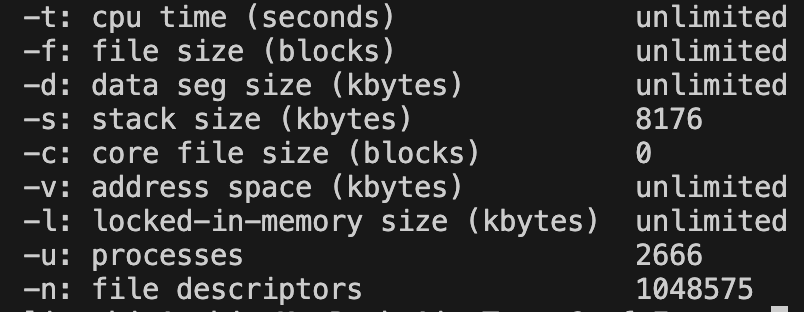 npm 后端报错 EMFILE: too many open files, watch_error: emfile: too many open files, watch-CSDN博客