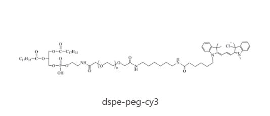 DSPE-PEG-Cy3 Cy3-PEG-DSPE 磷脂-[聚乙二醇]-氰ine 3染料修饰物-CSDN博客