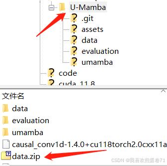 U-Mamba复现_umamba复现-CSDN博客