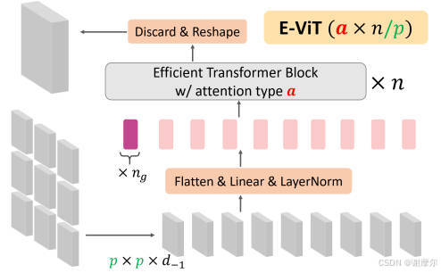 MSVLF:Multi-Scale Vision Longformer: A New Vision Transformer for High ...