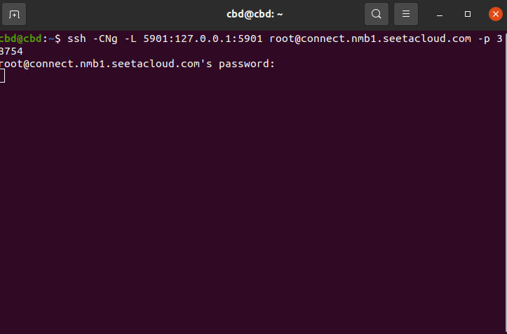 使用vnc-viewer连接Autodl远程服务_autodl vnc-CSDN博客