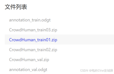 YOLO11实战 第001期-基于yolo11的CrowdHuman密集行人目标检测实战文档(yolo格式数据免费获取)_crowdhuman数据集-CSDN博客