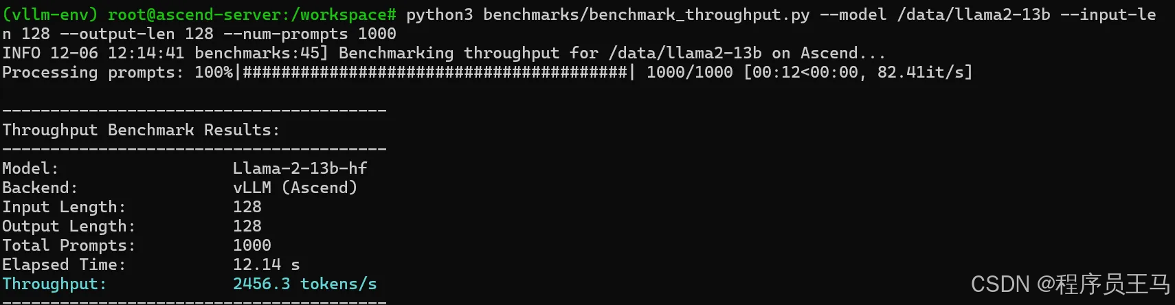 vLLM-Ascend 性能调优与调试完全指南_vllm-ascend flashcomm2-CSDN博客