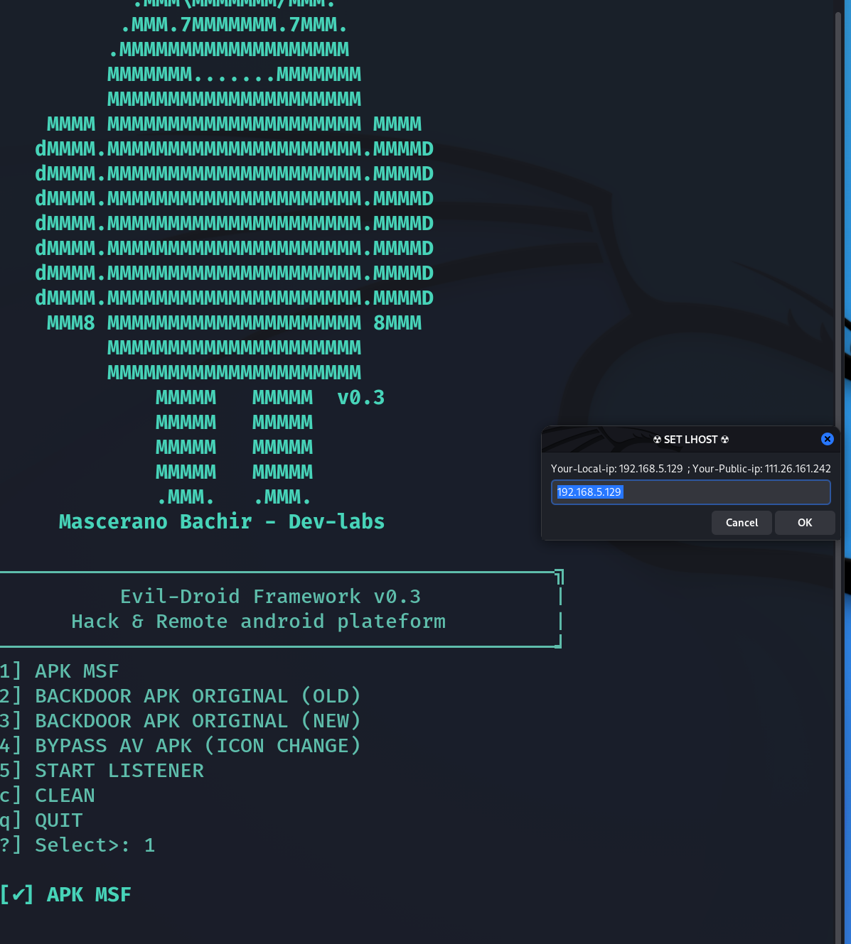 Evil-droid在kali系统的部署安装-CSDN博客