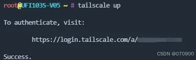 通过 Tailscale 异地组网 实现远程访问局域网_tailscale异地组网-CSDN博客