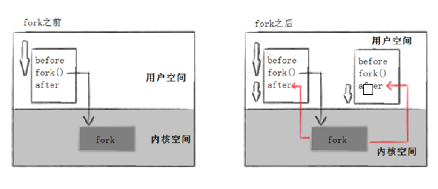 揭秘Linux进程管理：fork与wait全解析-CSDN博客
