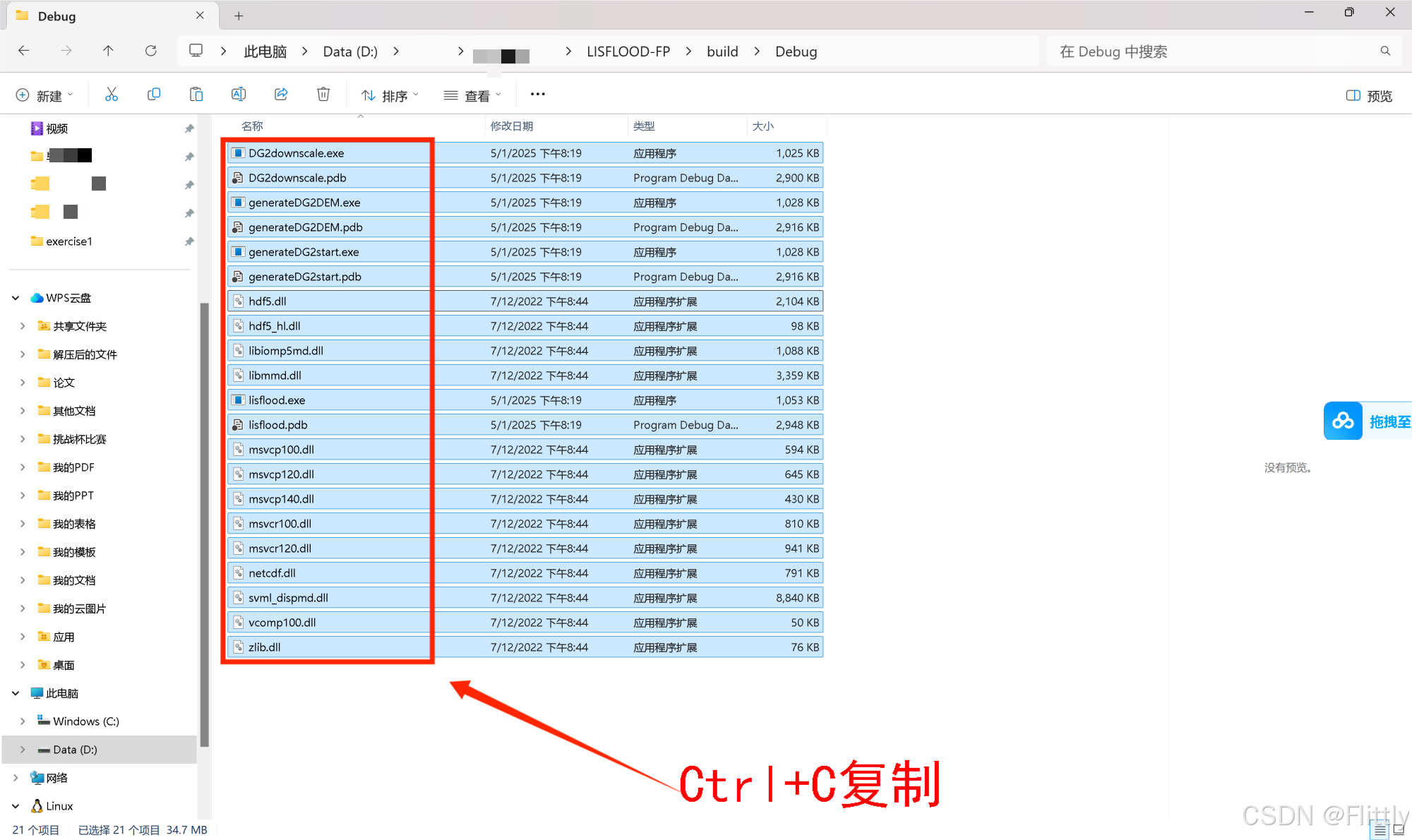 【LISFLOOD-FP使用指南】（1）快速上手-CSDN博客